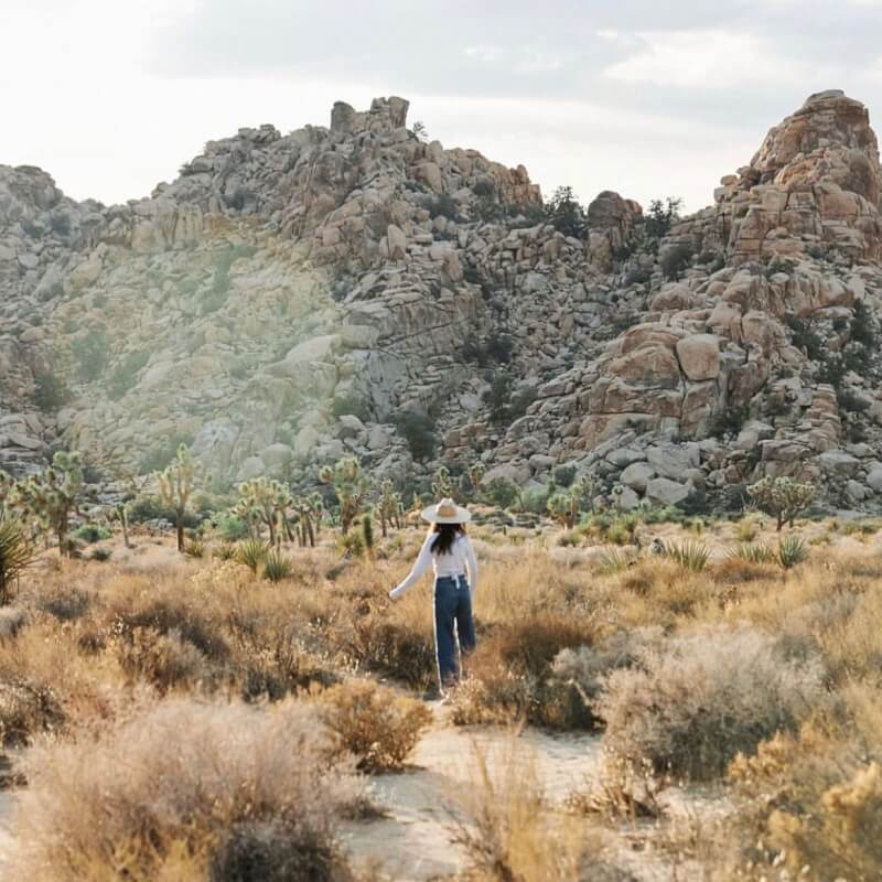 AutoCamp Joshua Tree-Joshua Tree, CA