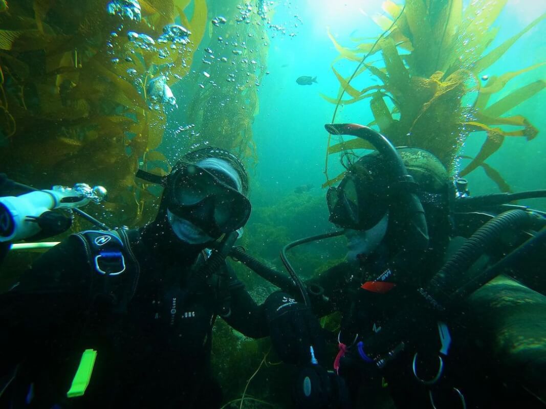 Bamboo Reef Dive Centers- Monterey, CA