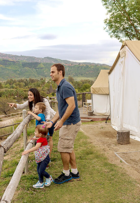 Roar and Snore Overnight Camping in the San Diego Zoo